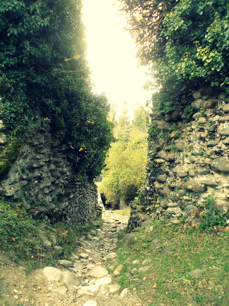 რუხის ციხე